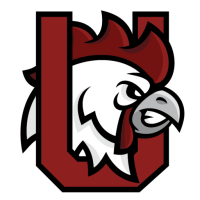 USC Palmetto College and the USC College of Information and ...